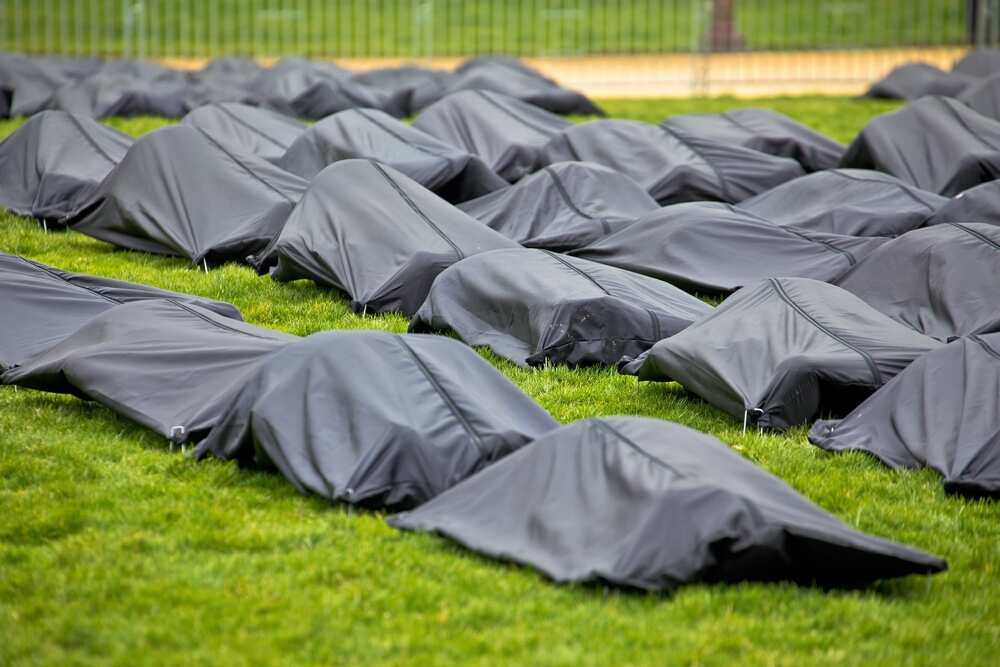 Uncovering the Rising Turmoil in the Democratic Republic of the Congo ...